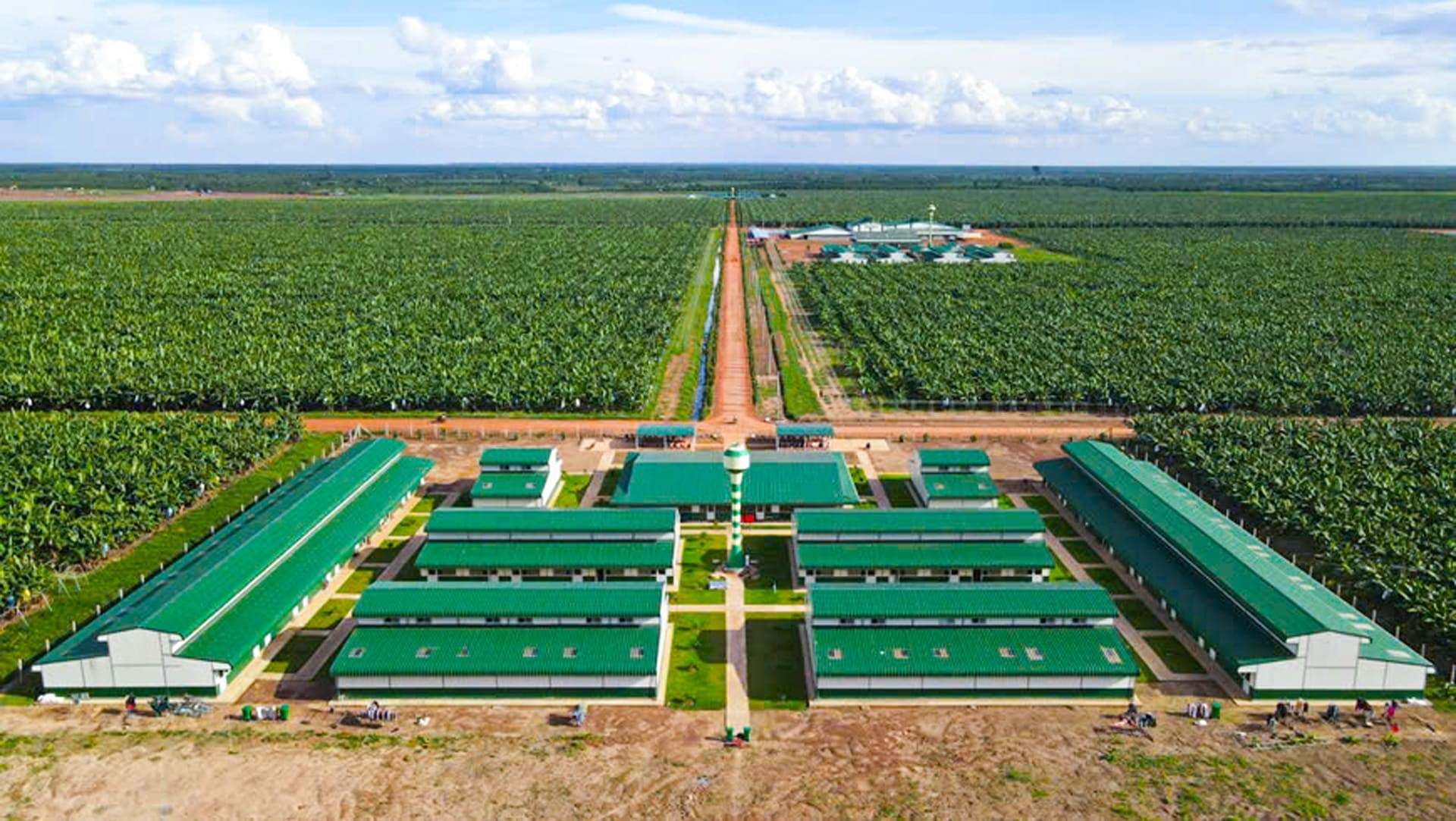 THACO AGRI hướng đến sứ mệnh “Nâng tầm nông nghiệp Việt Nam”